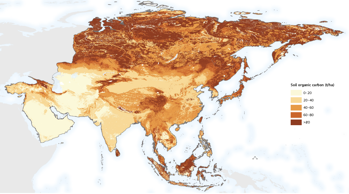 A quick guide to the different types of Atlas - Lovell Johns