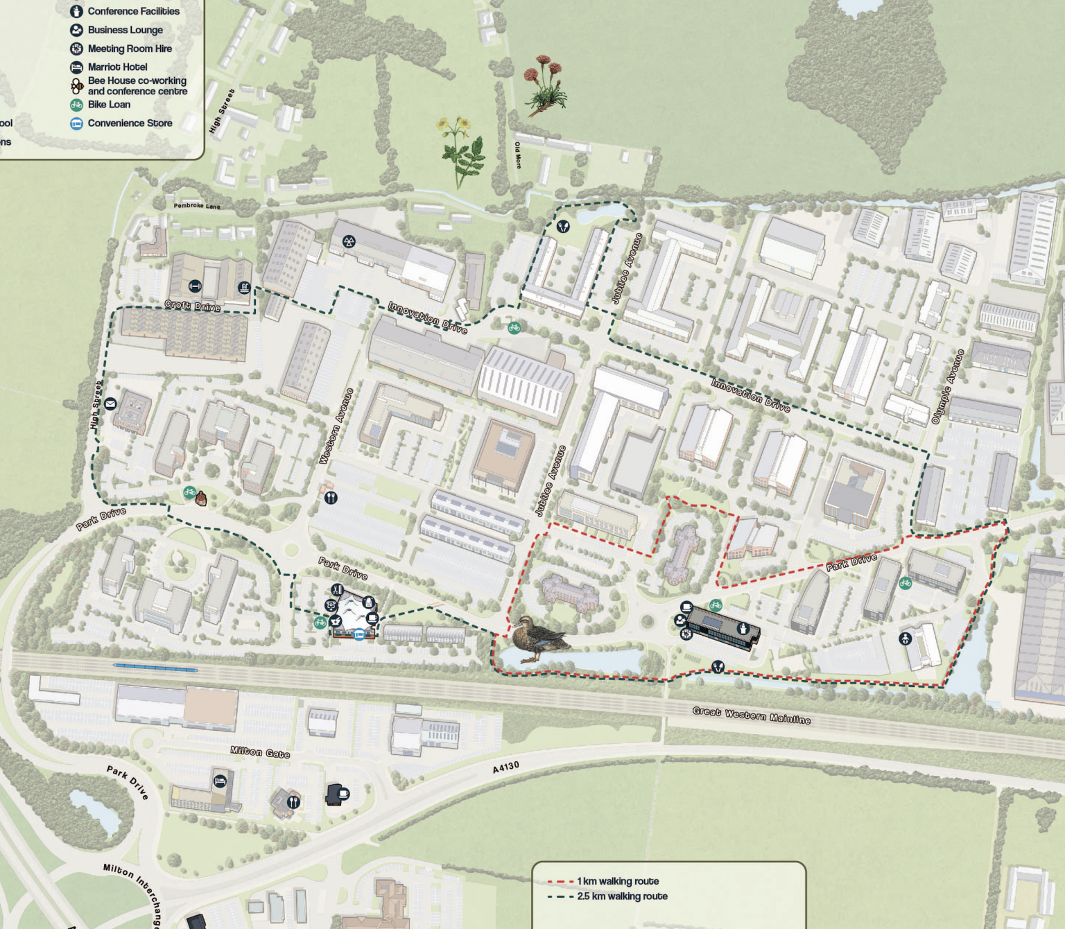 How maps can help Wellness in the Workplace - Lovell Johns